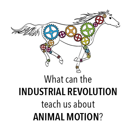 What can the Industrial Revolution teach us about animal motion ...