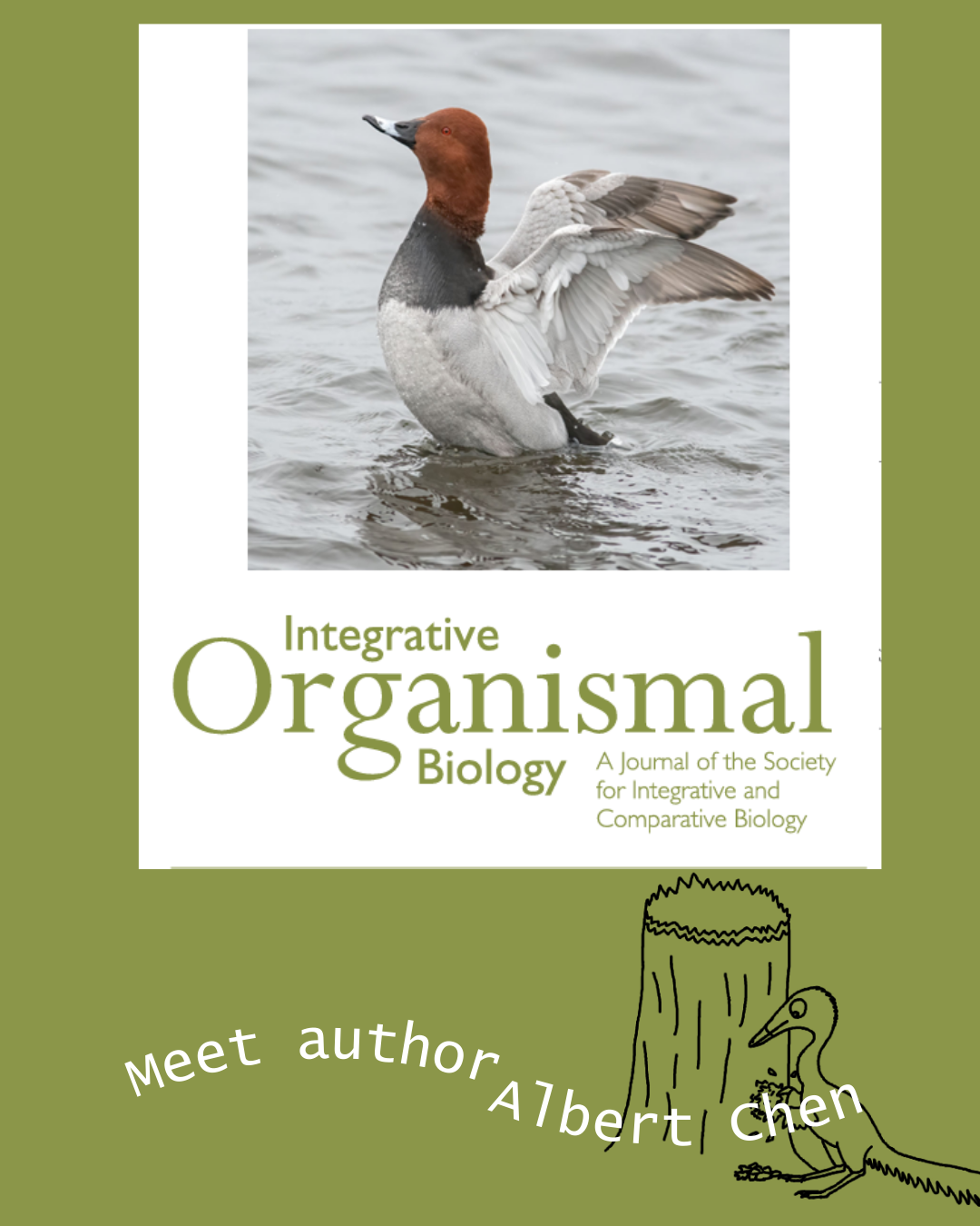Meet Albert Chen! – Integrative Organismal Biology